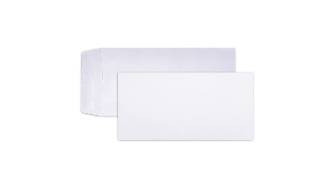 Leo Envelope DLP 220 x 110mm White Self Seal 500’s – Strive Stationers