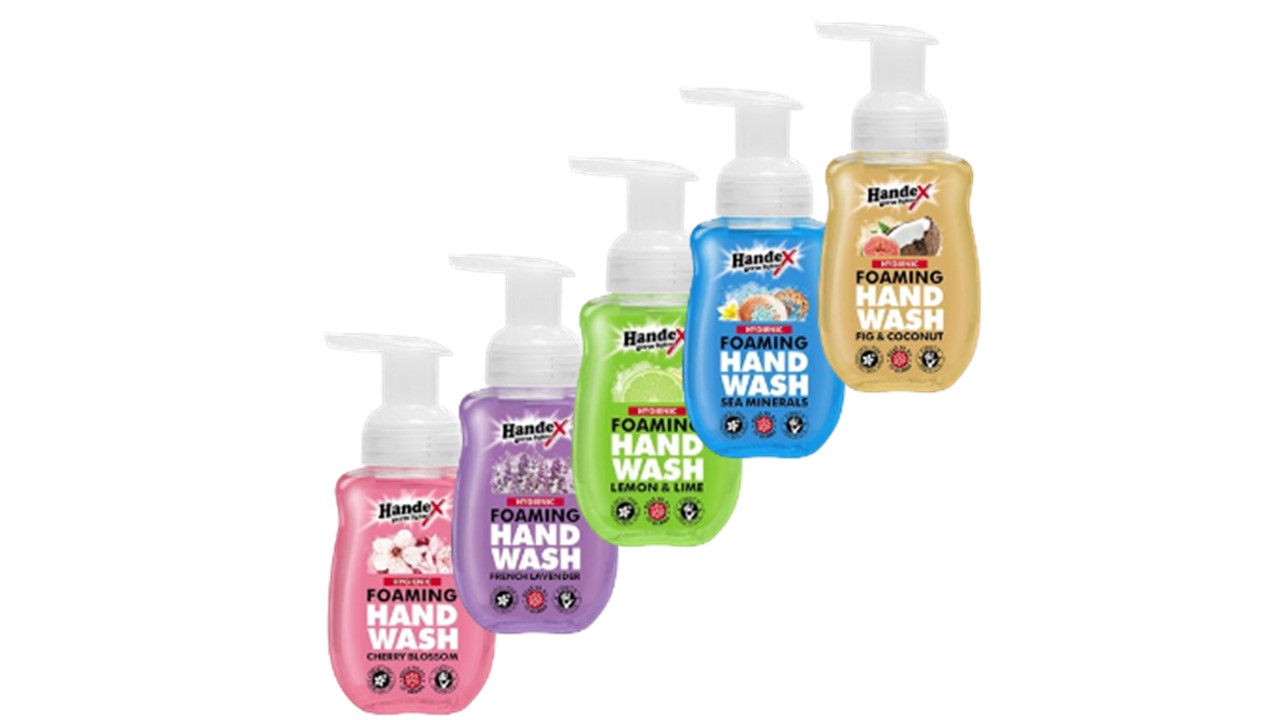Handex Foaming Handwash 250ml – Strive Stationers